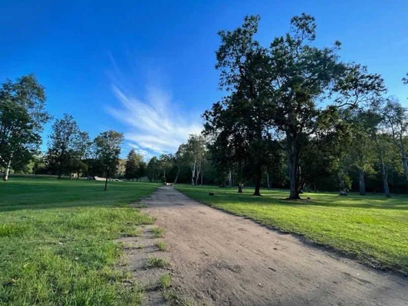 Bigriggen Park Reserve Camping Area in Rathdowney | Camping Australia