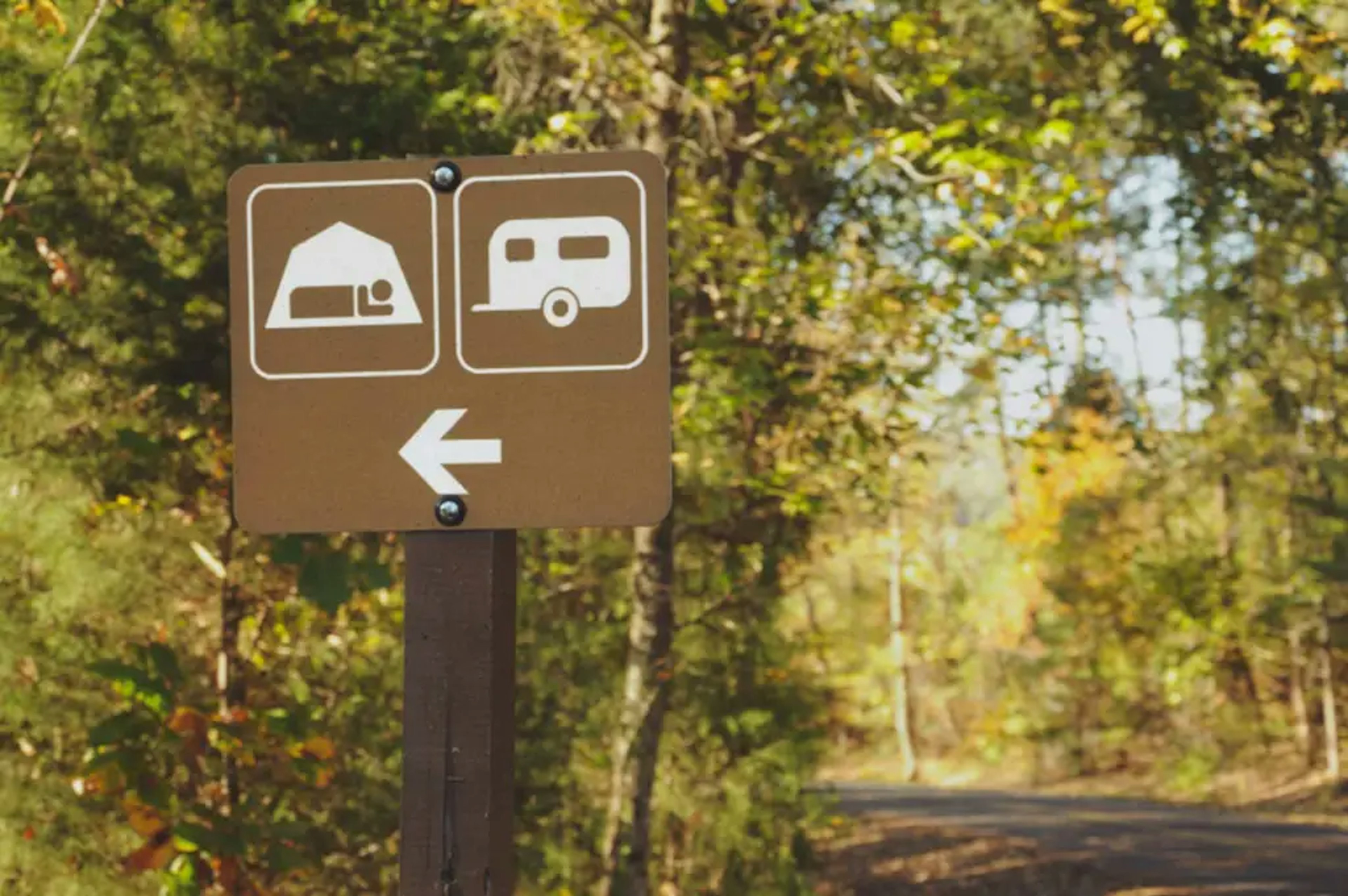 Bigriggen Park Reserve Camping Area in Rathdowney | Camping Australia