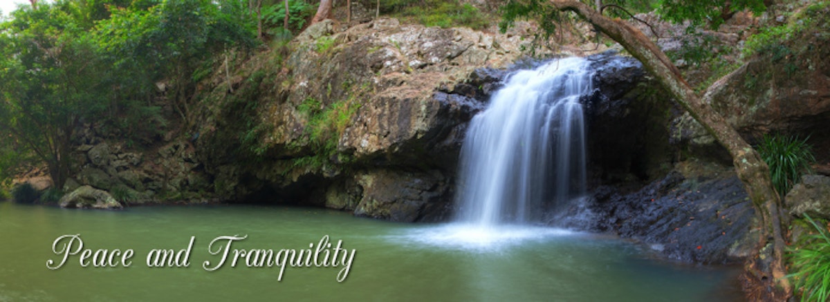 Mapleton Cabins and Caravan Park in Mapleton | Camping Australia